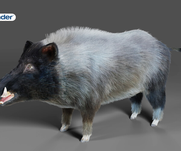 ArtStation - Fur Wild Boar V07 Rigged and Animation | Game Assets