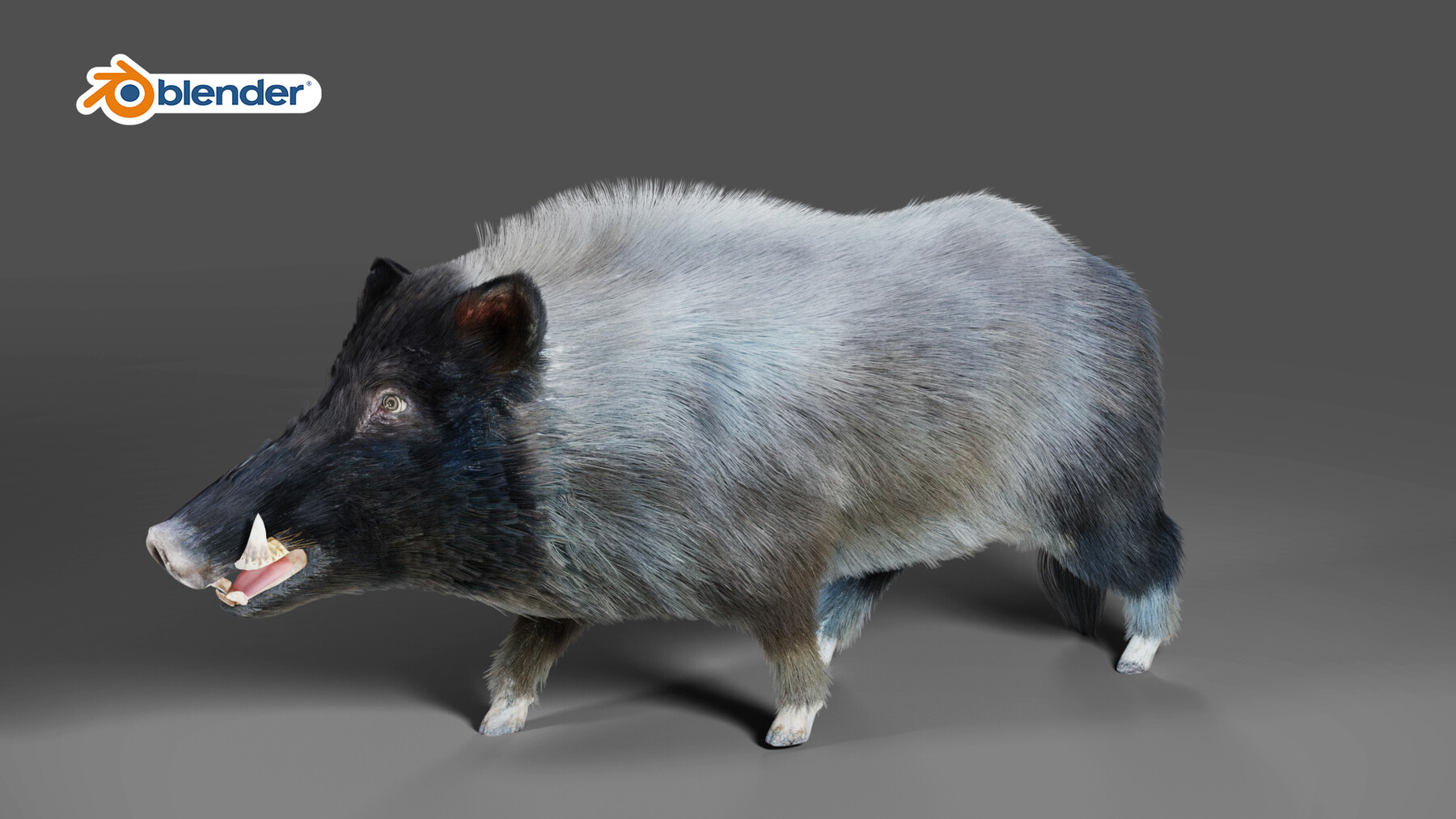 ArtStation - Fur Wild Boar V07 Rigged and Animation | Game Assets