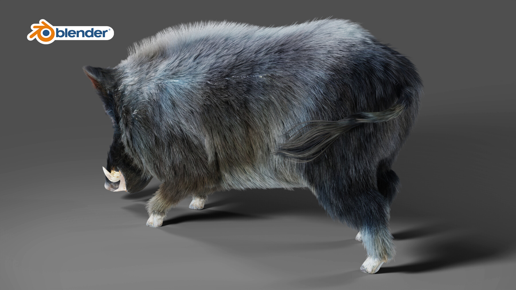 ArtStation - Fur Wild Boar V07 Rigged and Animation | Game Assets
