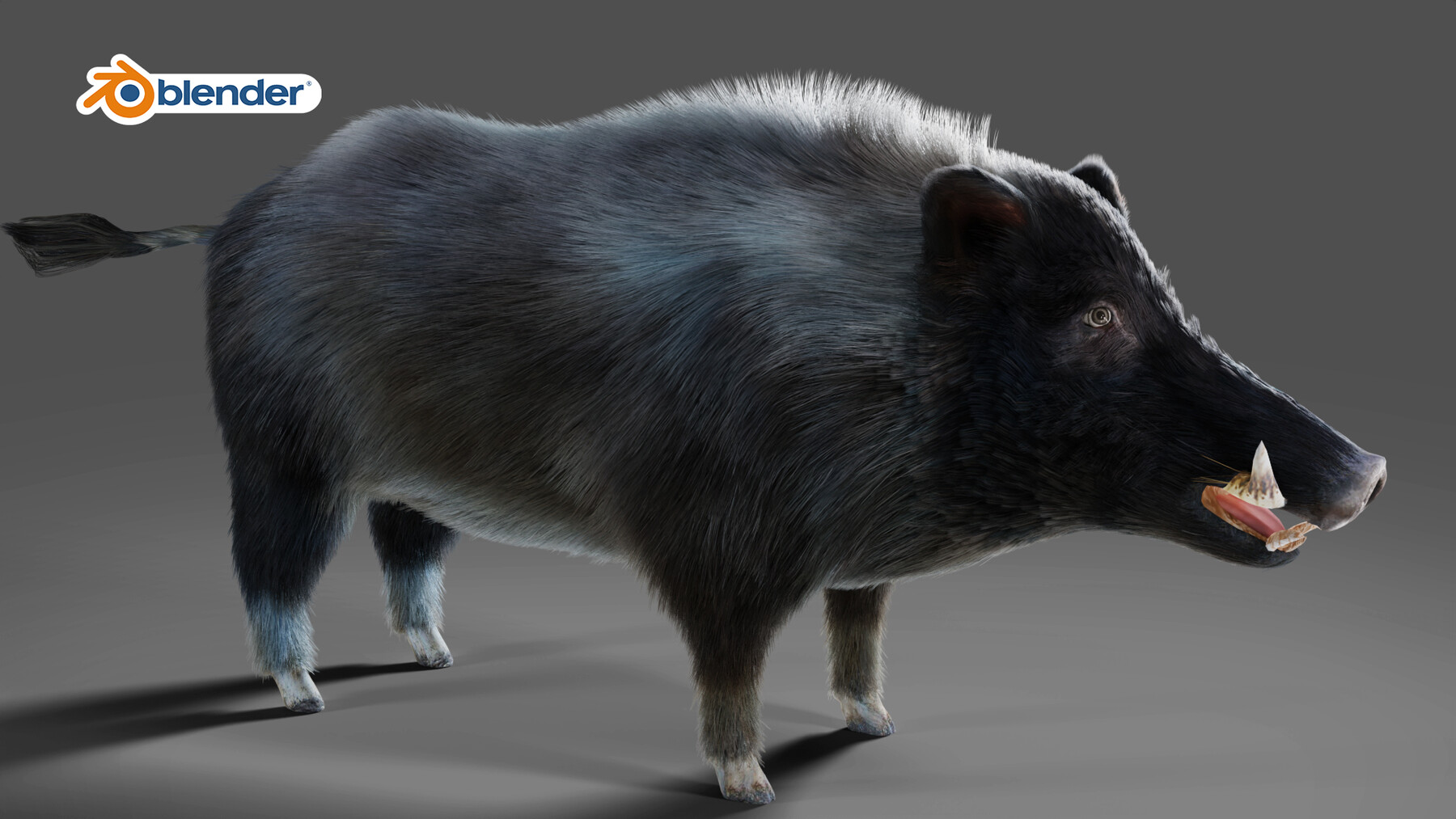ArtStation - Fur Wild Boar V07 Rigged and Animation | Game Assets
