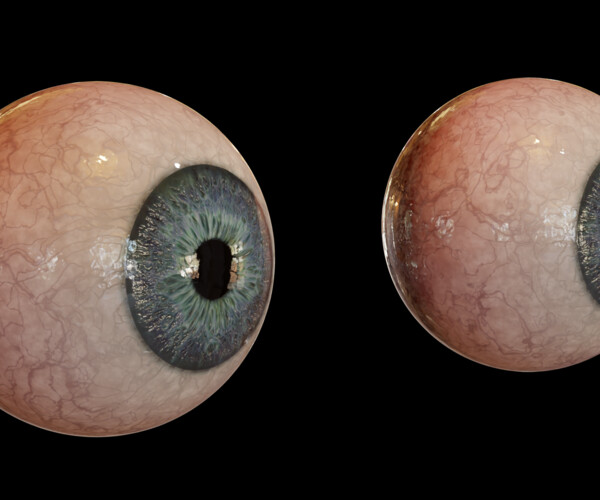 ArtStation - Hyper-Realistic Eye Rig (Blender) | Resources