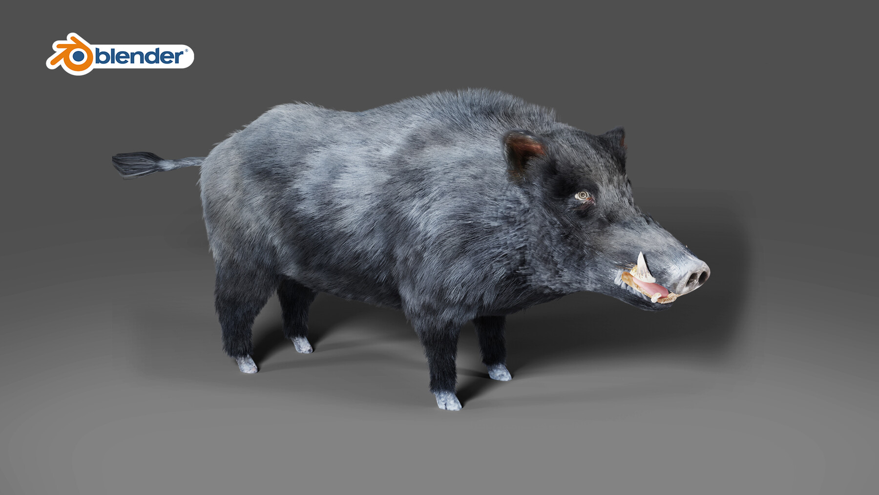 ArtStation - Fur Wild Boar V09 Rigged and Animation | Game Assets