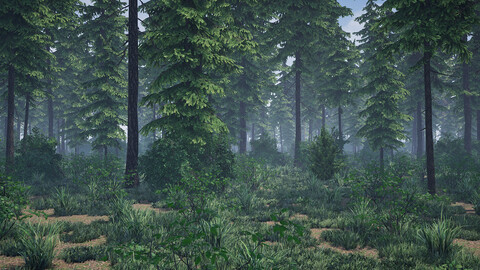 ArtStation - Fir Pine Tree Pack | Game Assets