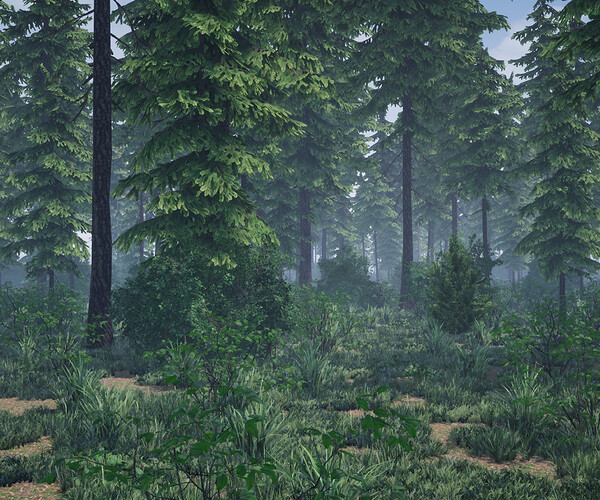 ArtStation - Fir Pine Tree Pack | Game Assets