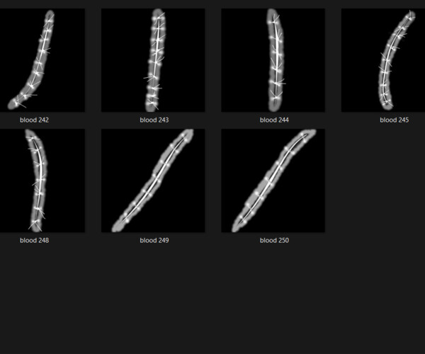 ArtStation - Blood 300 Alpha Patterns 2K Size Full Pack | Brushes