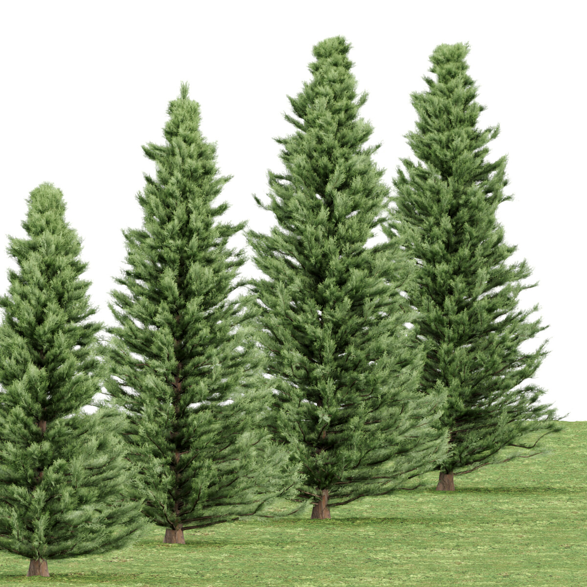 ArtStation - pine trees collection vol 22 | Resources