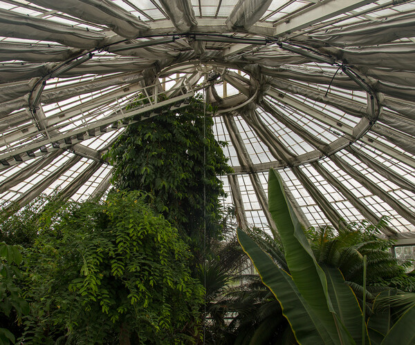 ArtStation - PLANTS - BOTANICAL GARDEN | Resources