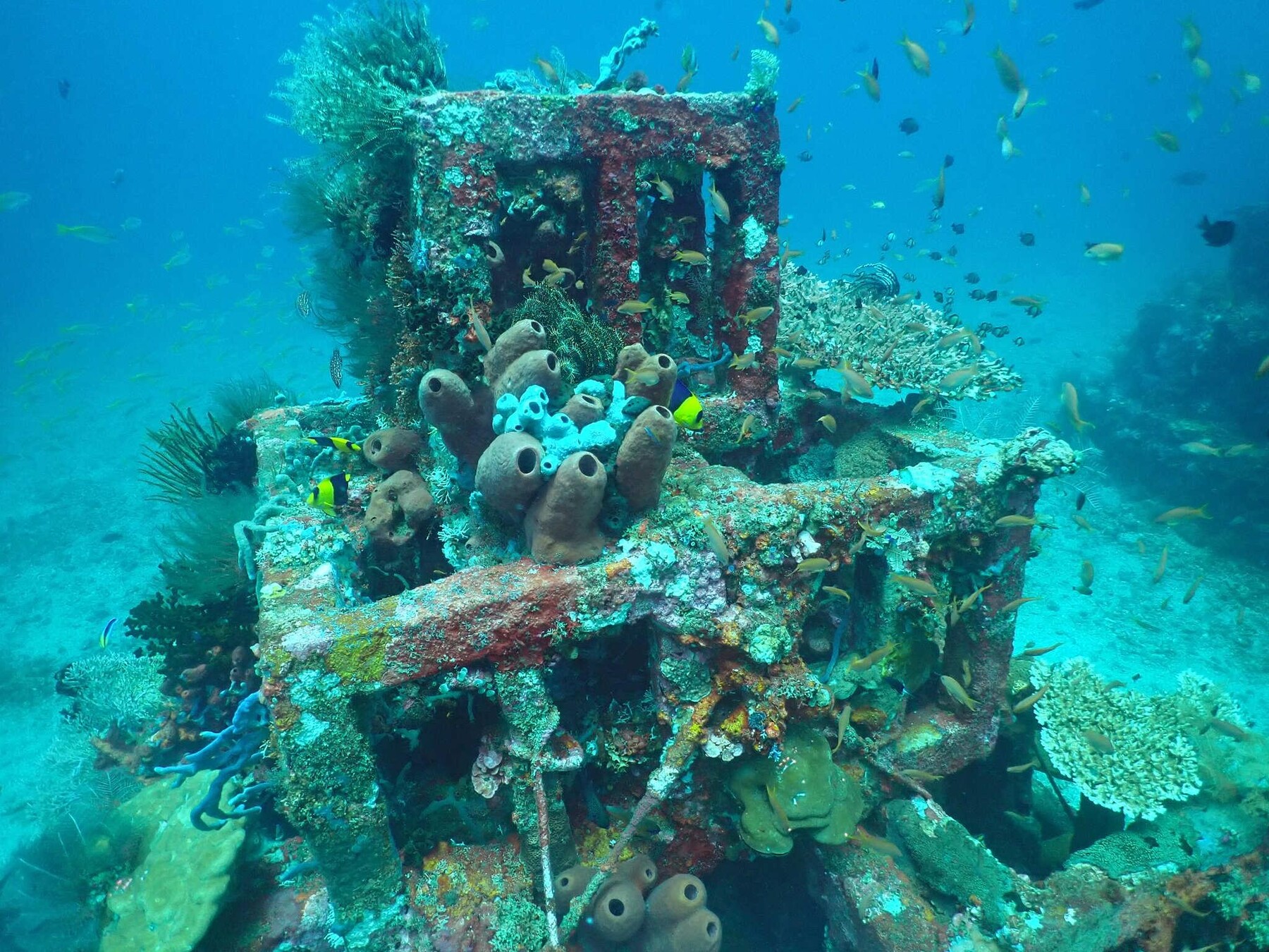 ArtStation - 166 photos of Coral Pyramid Structures | Resources