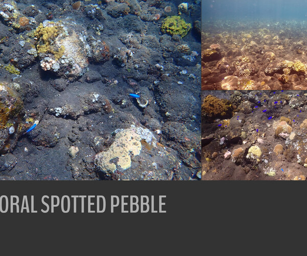 ArtStation - 101 photos of Black Coral Spotted Pebble Rocks | Resources