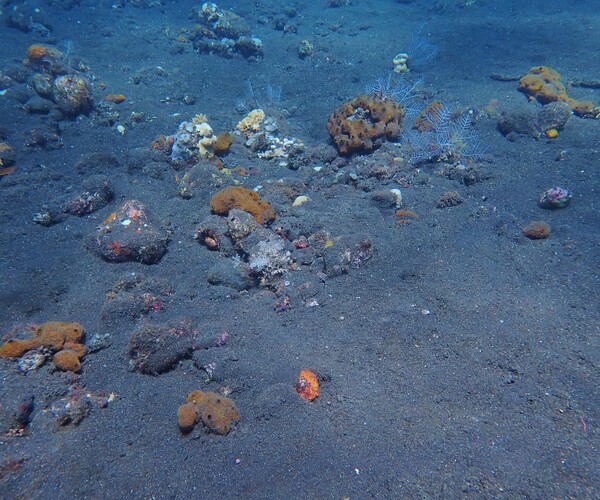 ArtStation - 101 photos of Black Coral Spotted Pebble Rocks | Resources