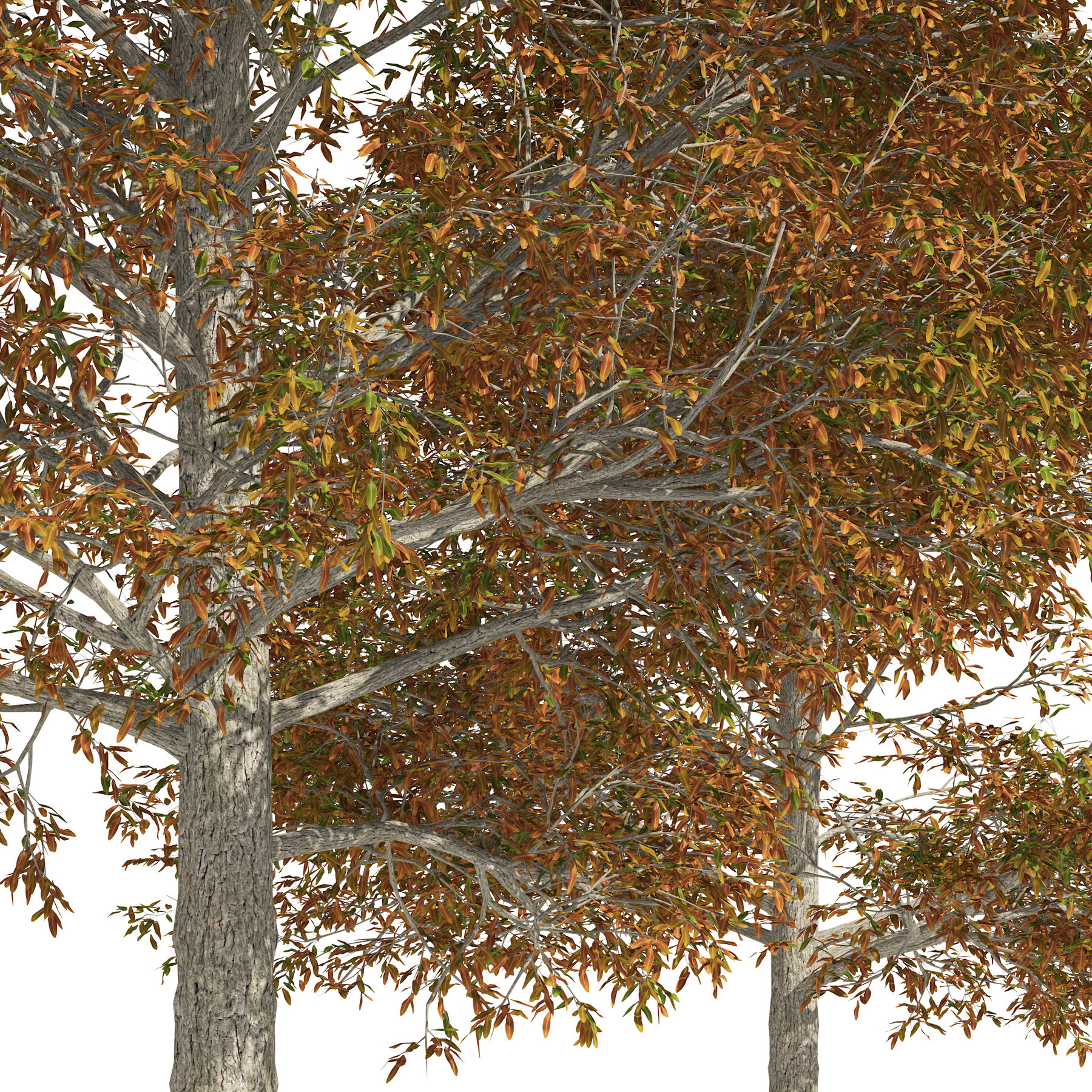 ArtStation - Fall Shingle Oak Trees | Game Assets