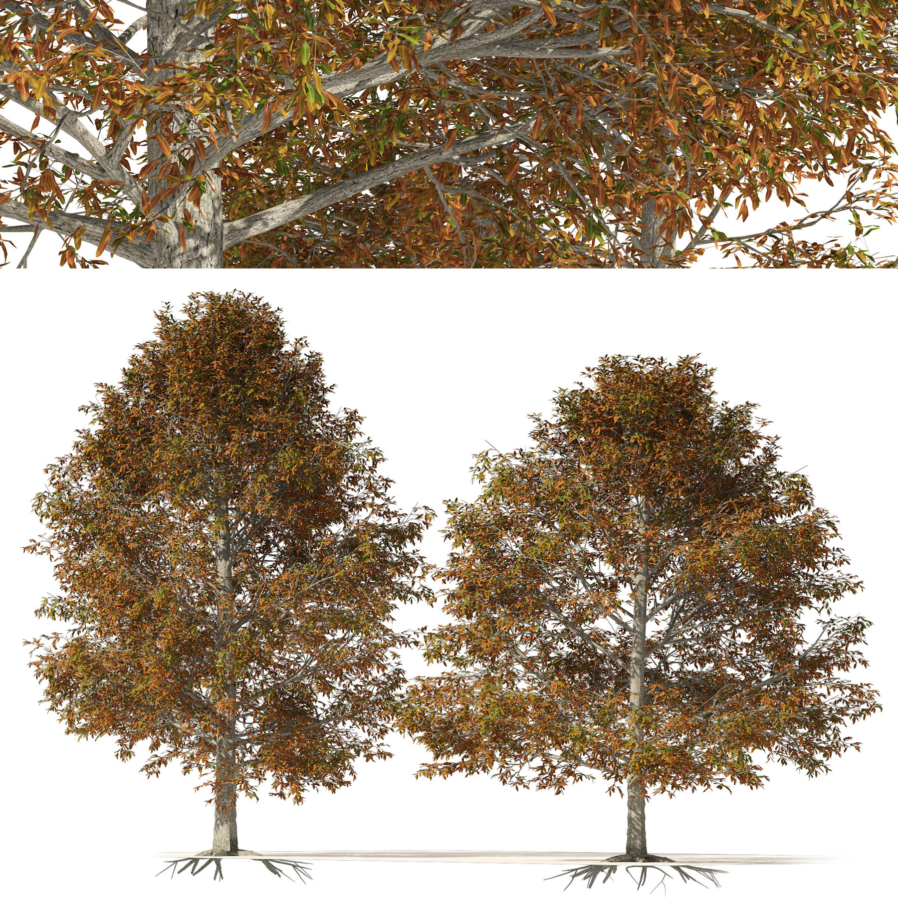 ArtStation - Fall Shingle Oak Trees | Game Assets