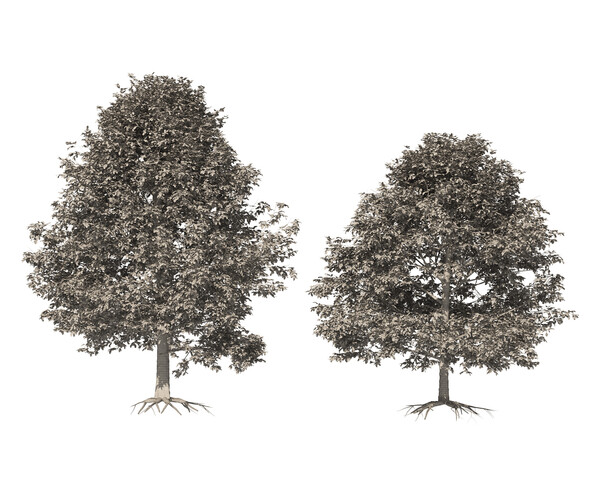ArtStation - Fall Shingle Oak Trees | Game Assets
