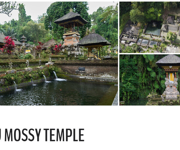 ArtStation - 216 photos of Hindu Mossy Temple | Resources