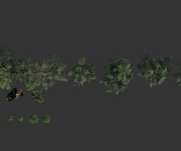 ArtStation - Tree package | Game Assets