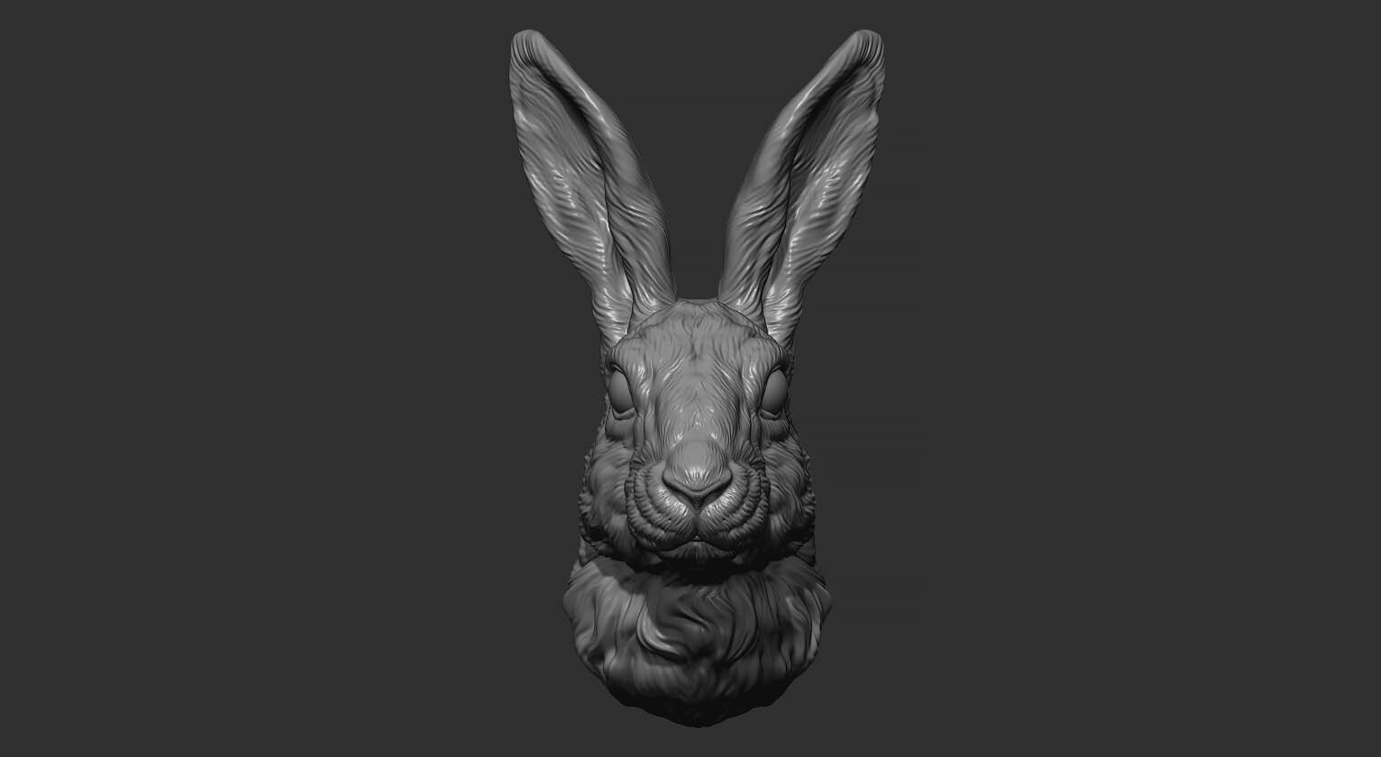 ArtStation - Hare head | Resources