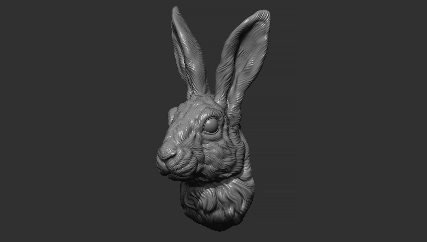 ArtStation - Hare head | Resources