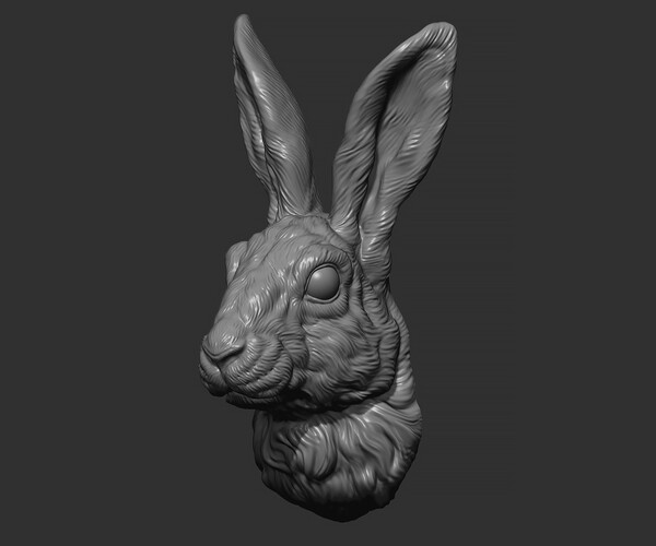 ArtStation - Hare head | Resources