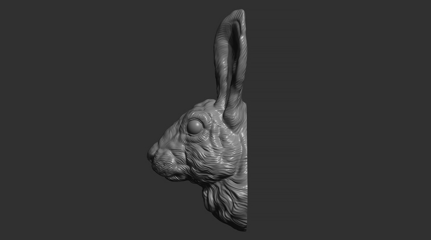 ArtStation - Hare head | Resources