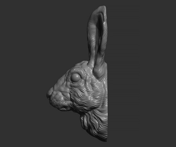 ArtStation - Hare head | Resources