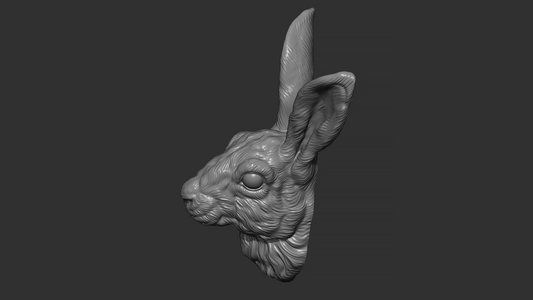 ArtStation - Hare head | Resources