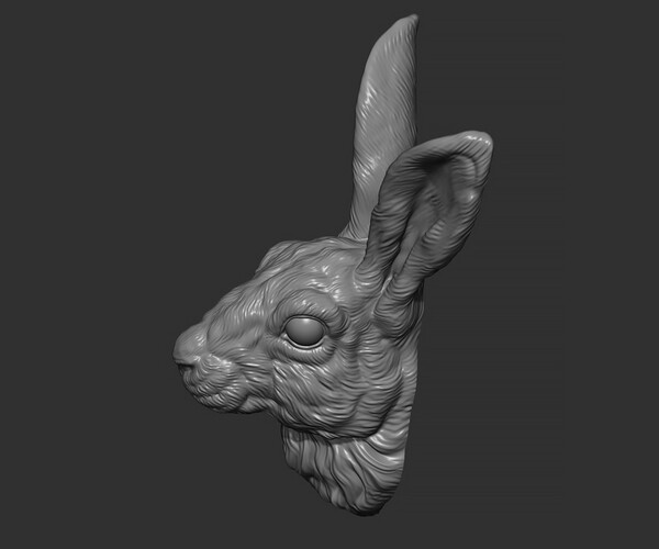 ArtStation - Hare head | Resources