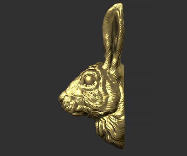 ArtStation - Hare head | Resources