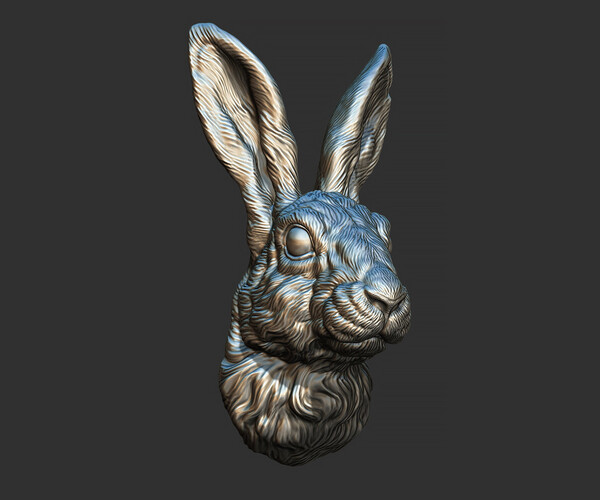 ArtStation - Hare head | Resources