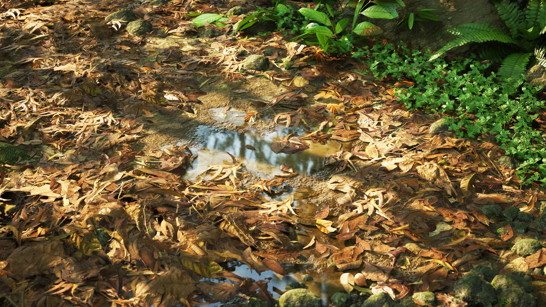 ArtStation - Rainforest Jungle Pack Vol.1 For Unreal Engine | Game Assets