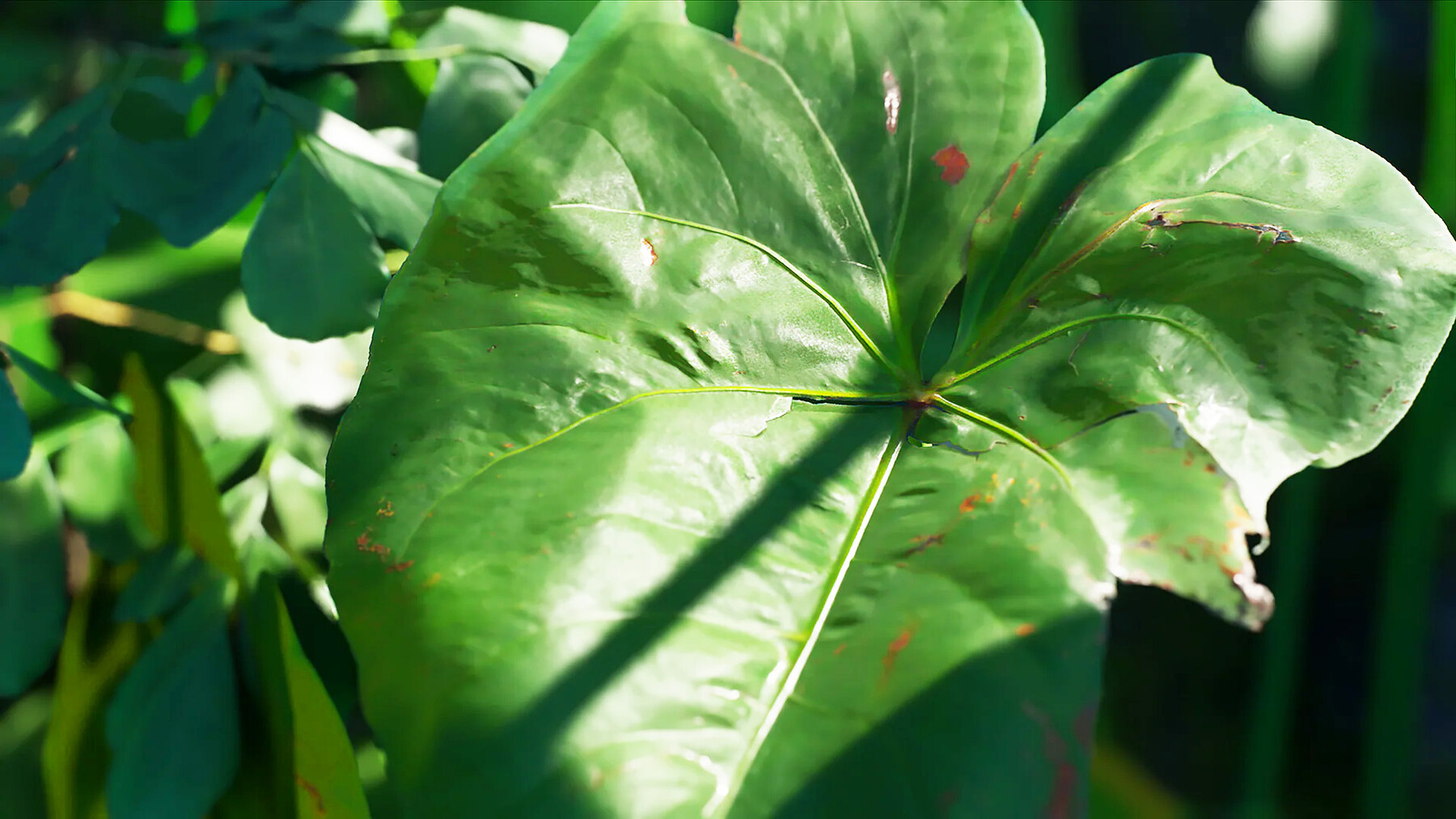 ArtStation - Rainforest Jungle Pack Vol.1 For Unreal Engine | Game Assets