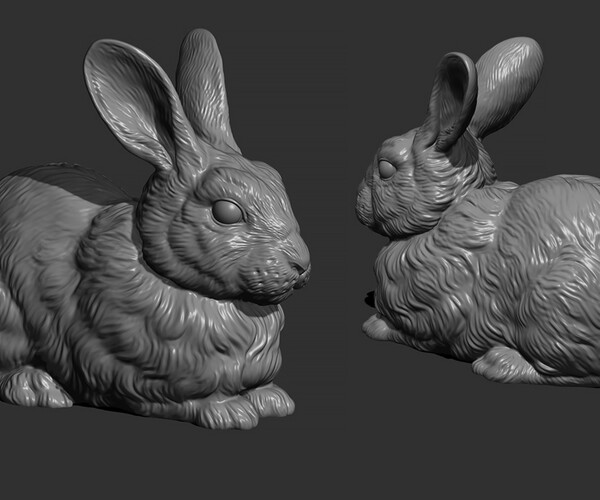 ArtStation - Rabbit | Resources
