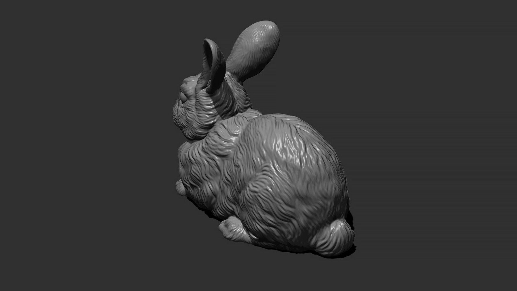 ArtStation - Rabbit | Resources
