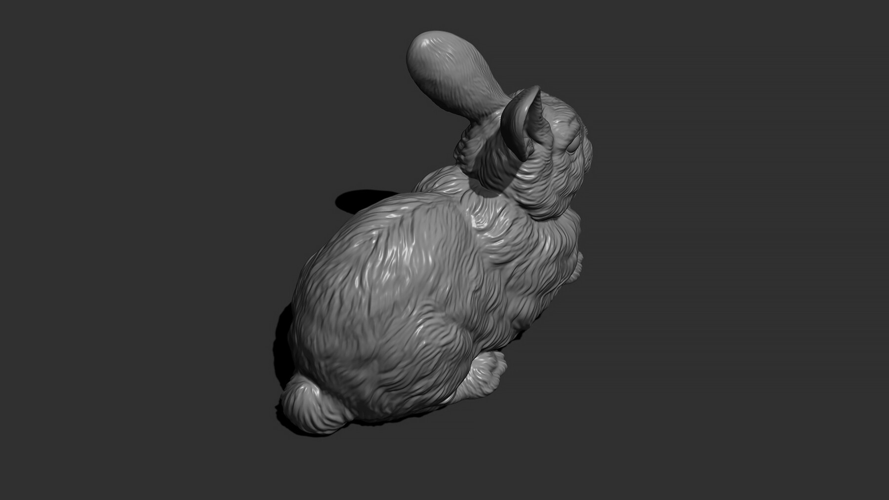 ArtStation - Rabbit | Resources