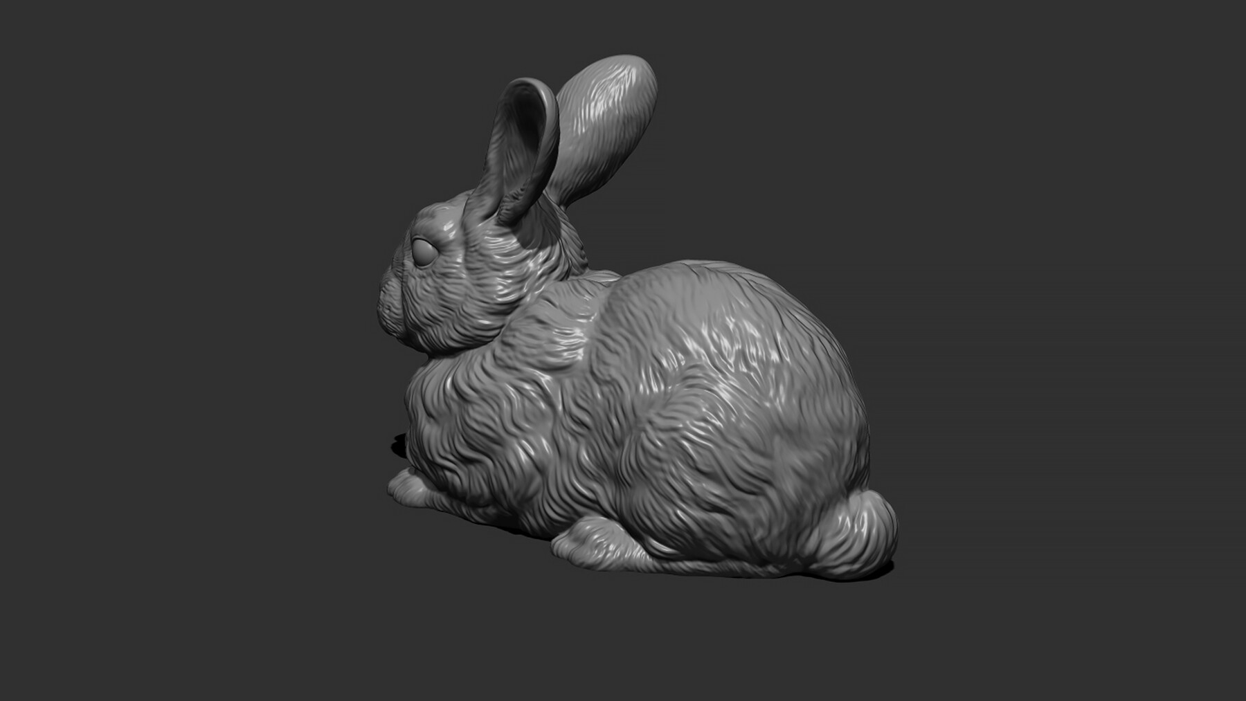 ArtStation - Rabbit | Resources
