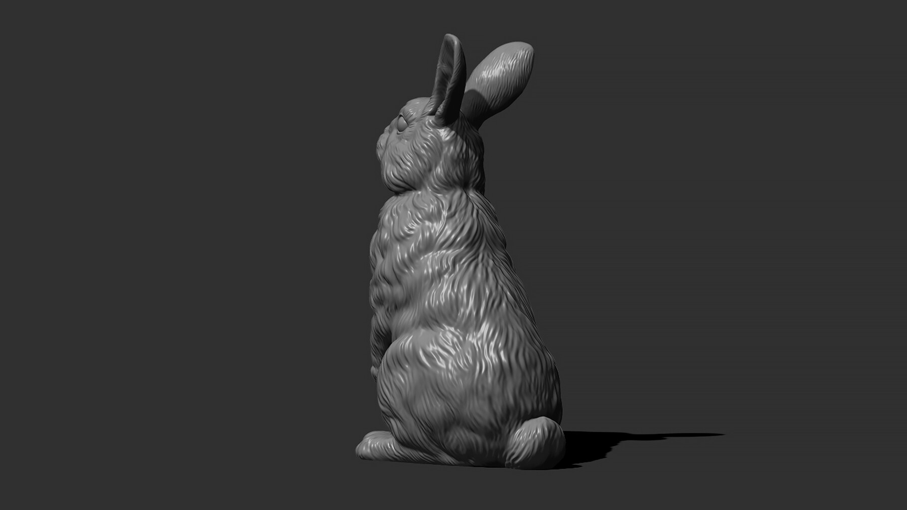 ArtStation - Rabbit bunny | Resources
