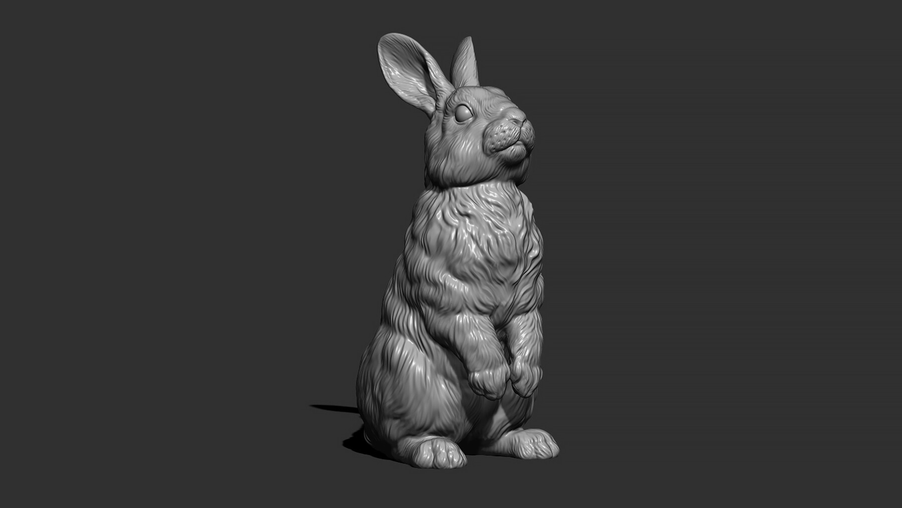 ArtStation - Rabbit bunny | Resources