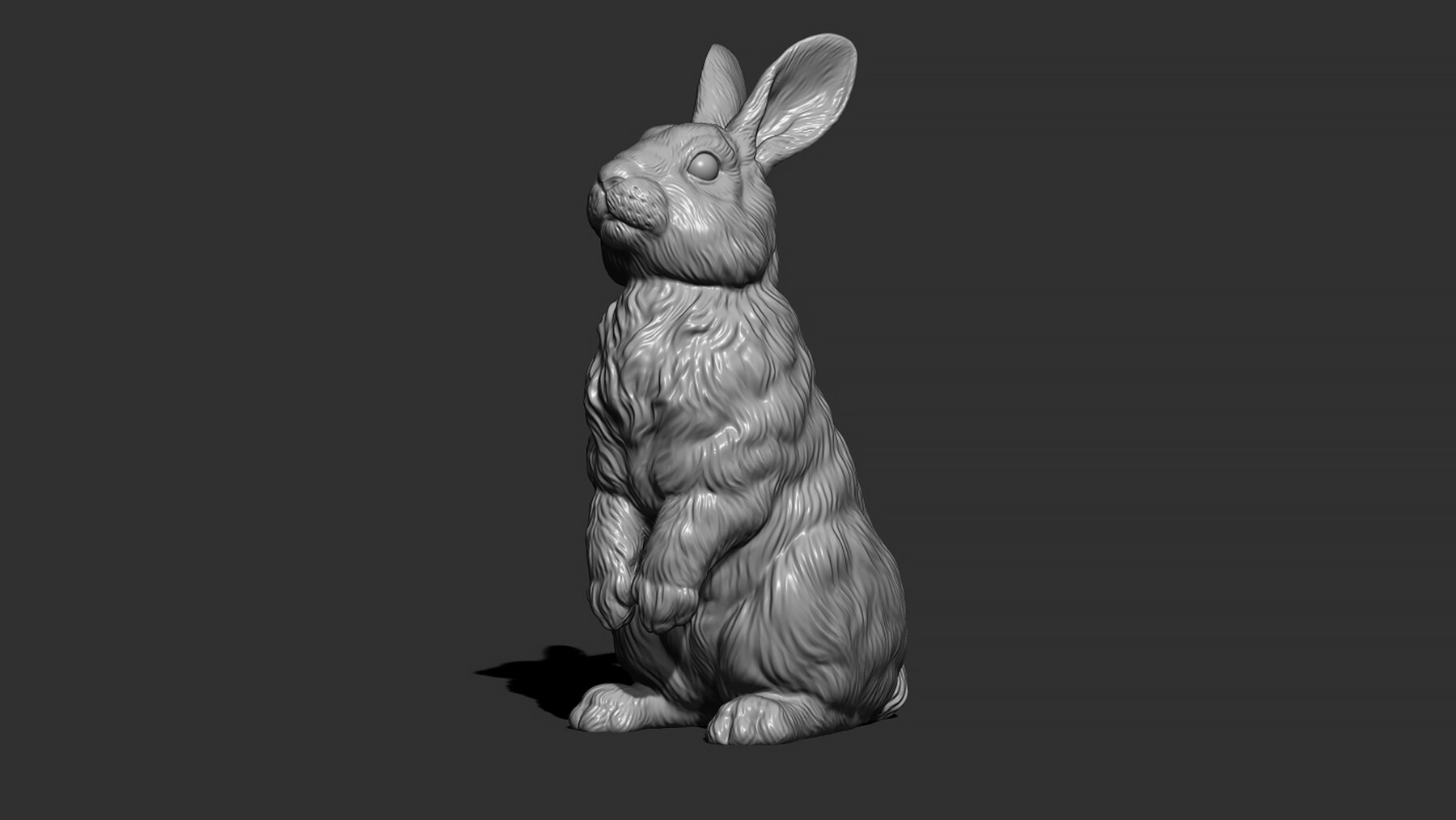 ArtStation - Rabbit bunny | Resources