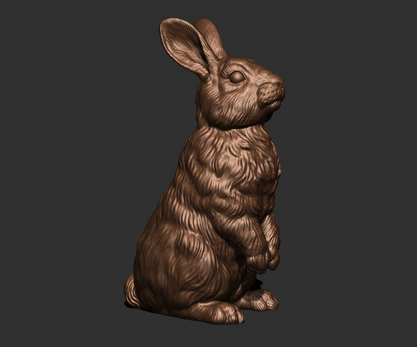 ArtStation - Rabbit bunny | Resources
