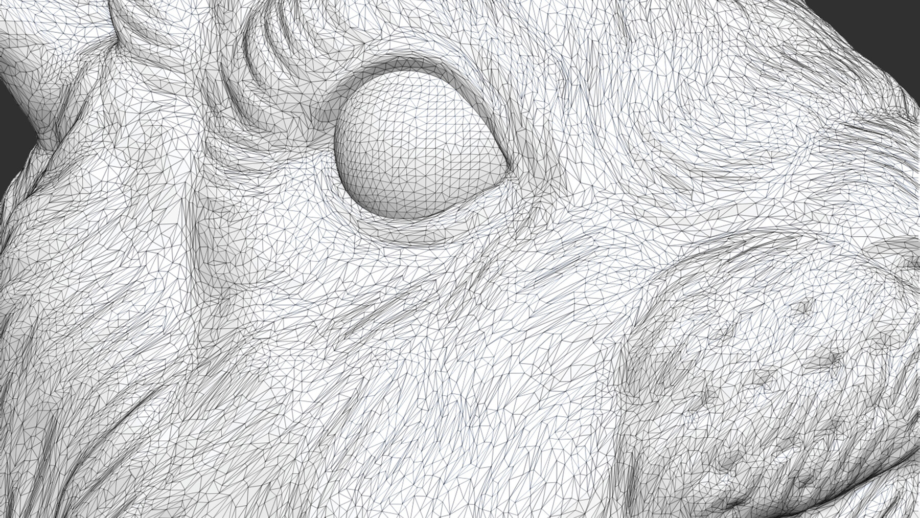 ArtStation - Rabbit bunny | Resources