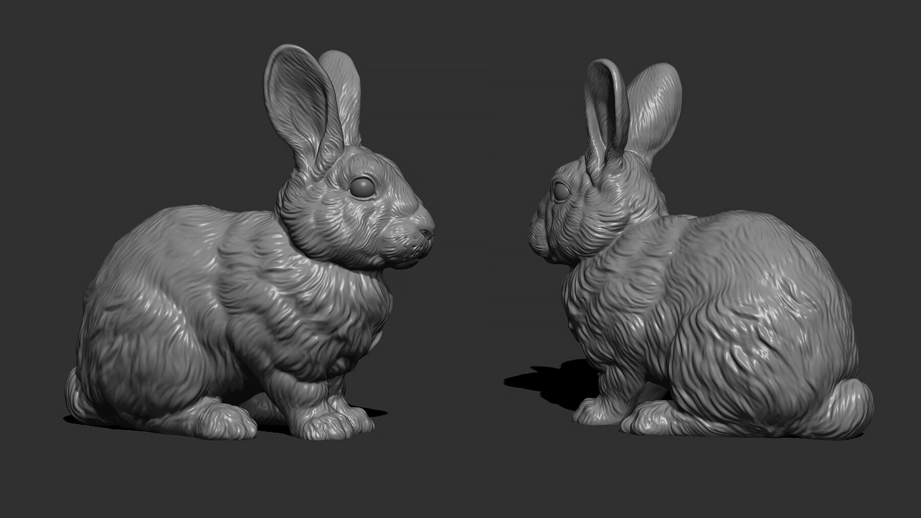 ArtStation - Bunny | Resources