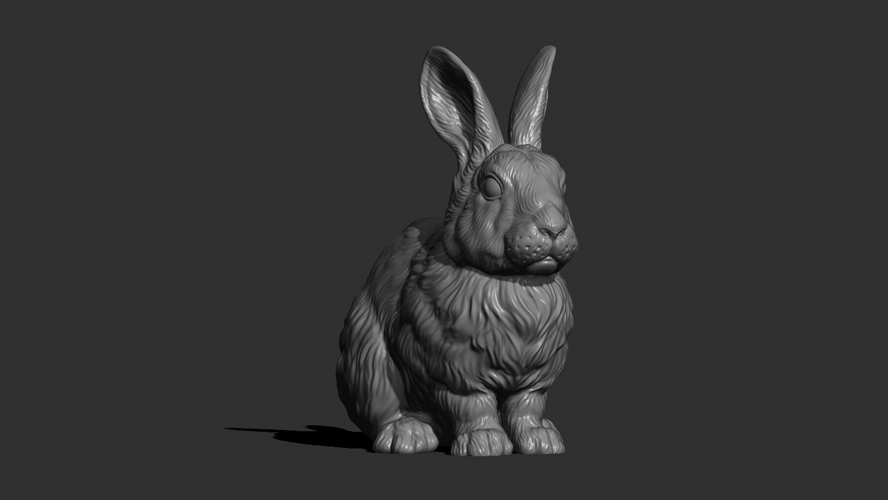ArtStation - Bunny | Resources