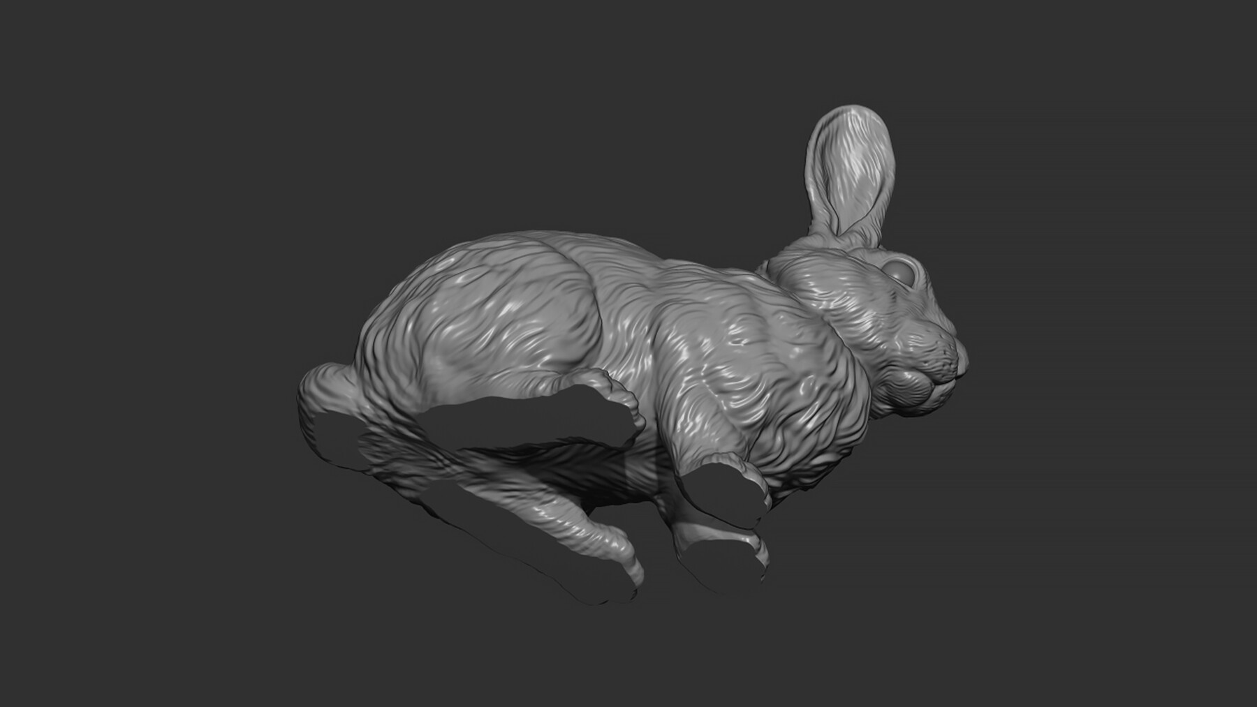 ArtStation - Bunny | Resources