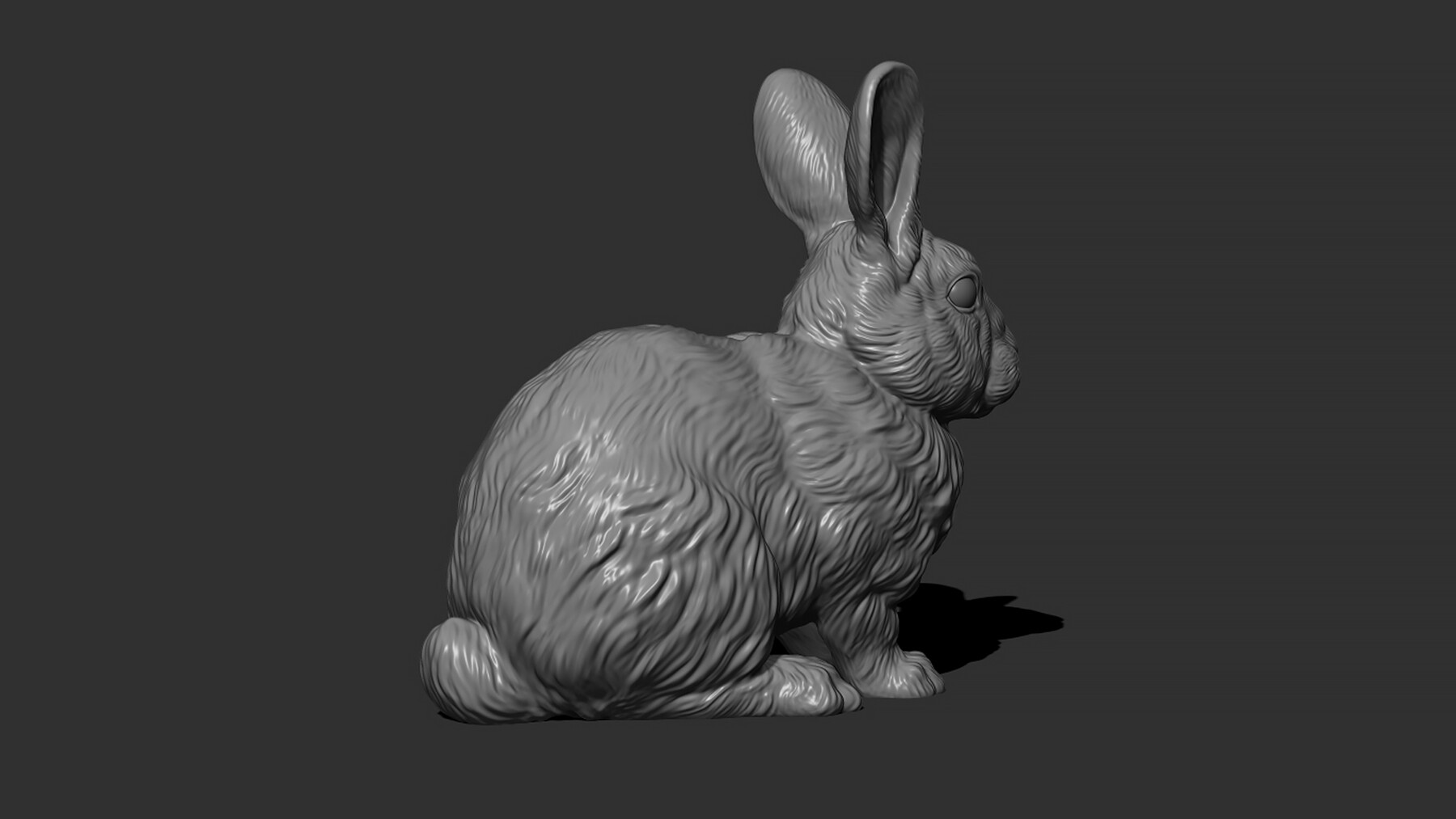 ArtStation - Bunny | Resources