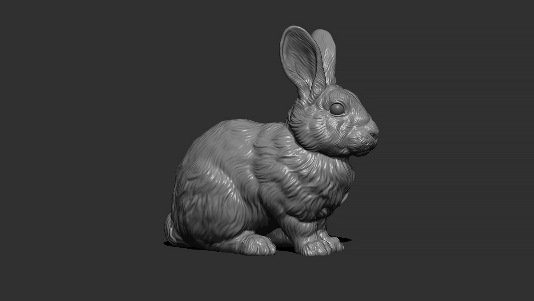 ArtStation - Bunny | Resources