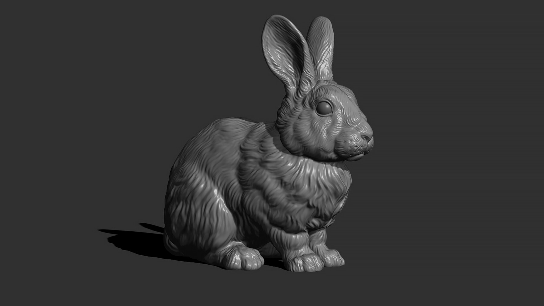 ArtStation - Bunny | Resources