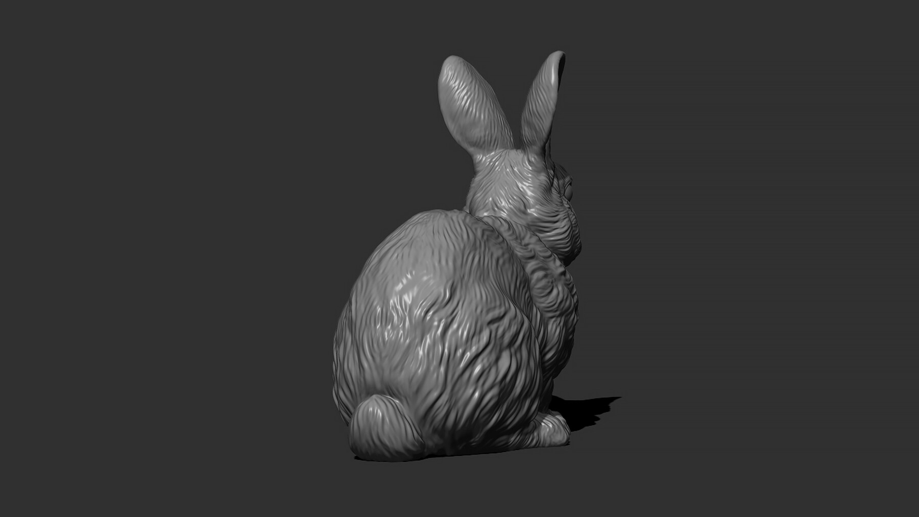 ArtStation - Bunny | Resources
