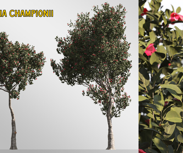 ArtStation - 4 Tree Set 3D Models _ Vol 02 | Resources