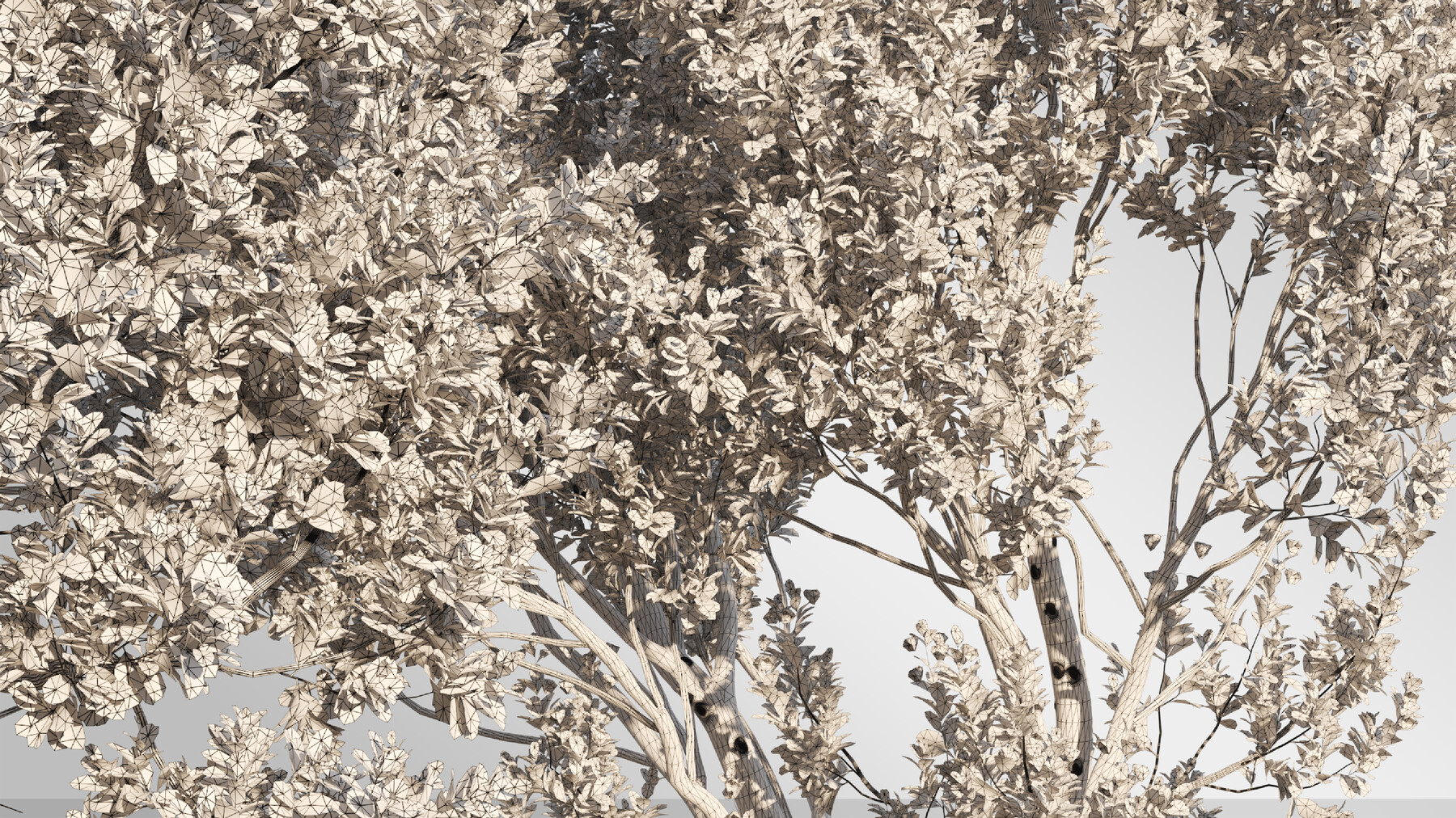 ArtStation - 4 Tree Set 3D Models _ Vol 02 | Resources