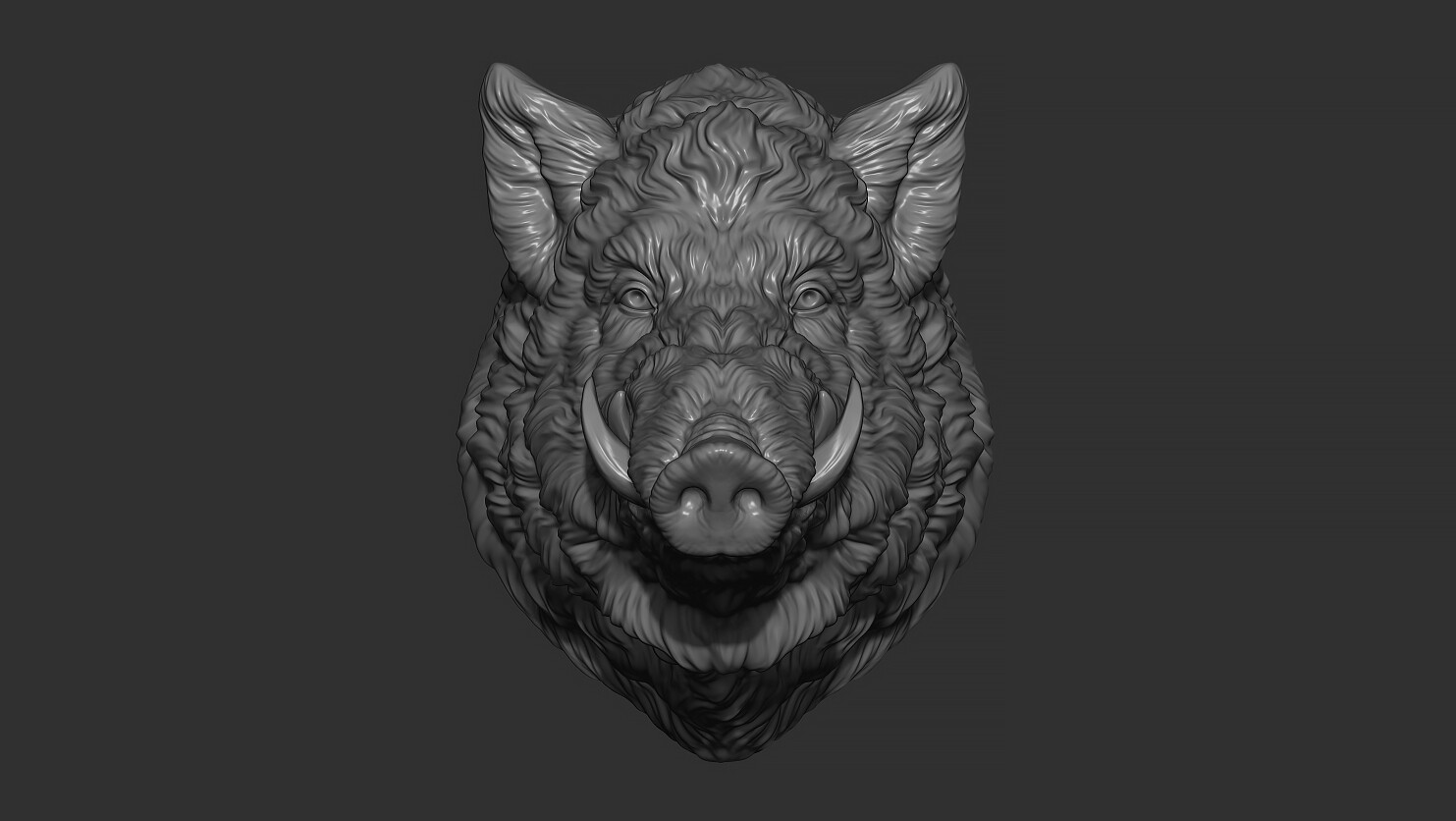 ArtStation - Wild boar head | Resources