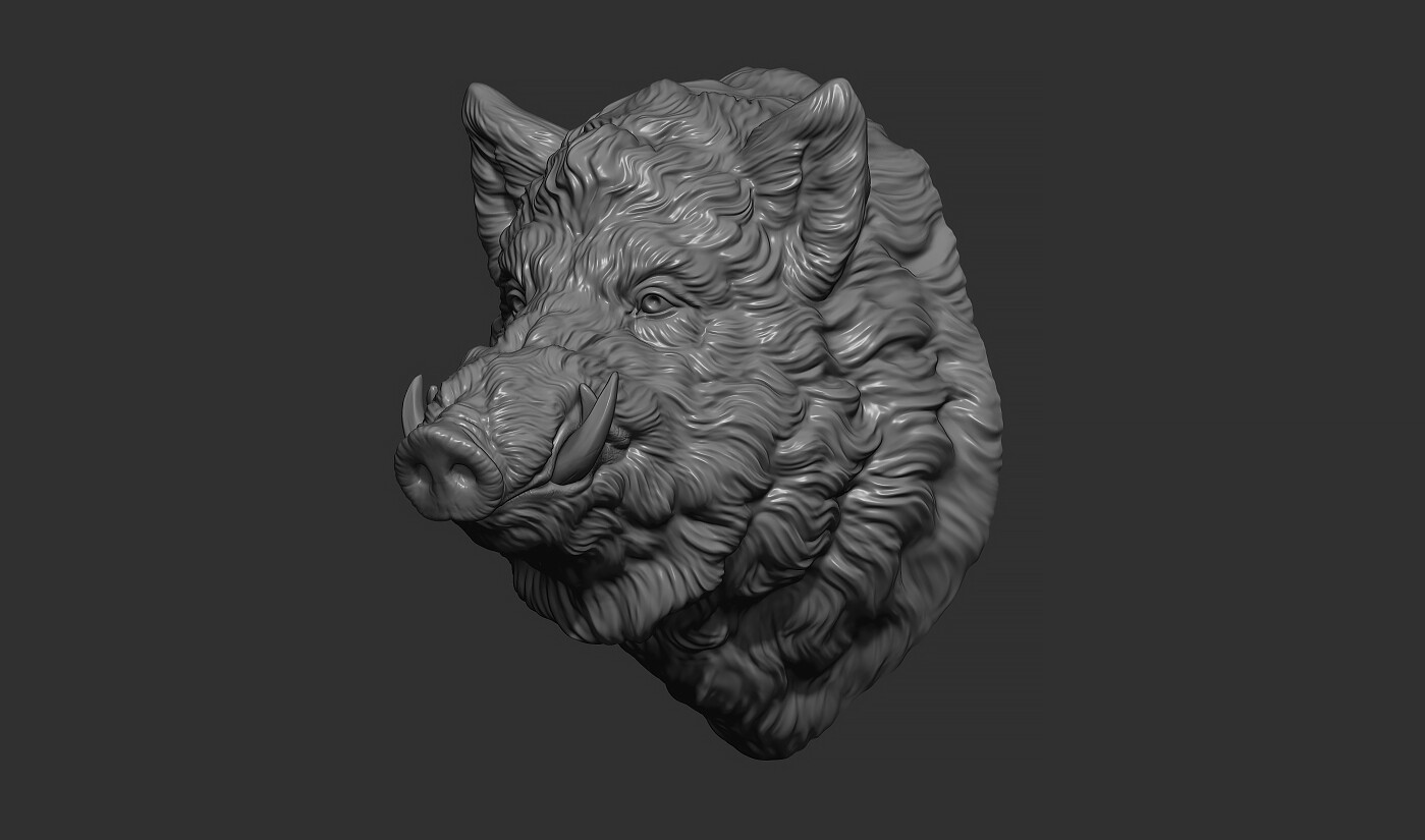 ArtStation - Wild boar head | Resources